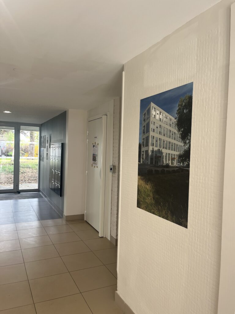 Réhabilitation à Mons-en-Barœul : un nouveau souffle pour l'habitat ...